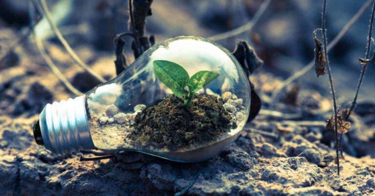 Biomass Conversion Processes: An Exploration Of The Technology ...