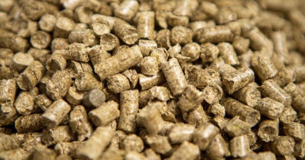 Prairie Clean Energy Secures $1.1M For Flax Straw Pellet Biomass ...