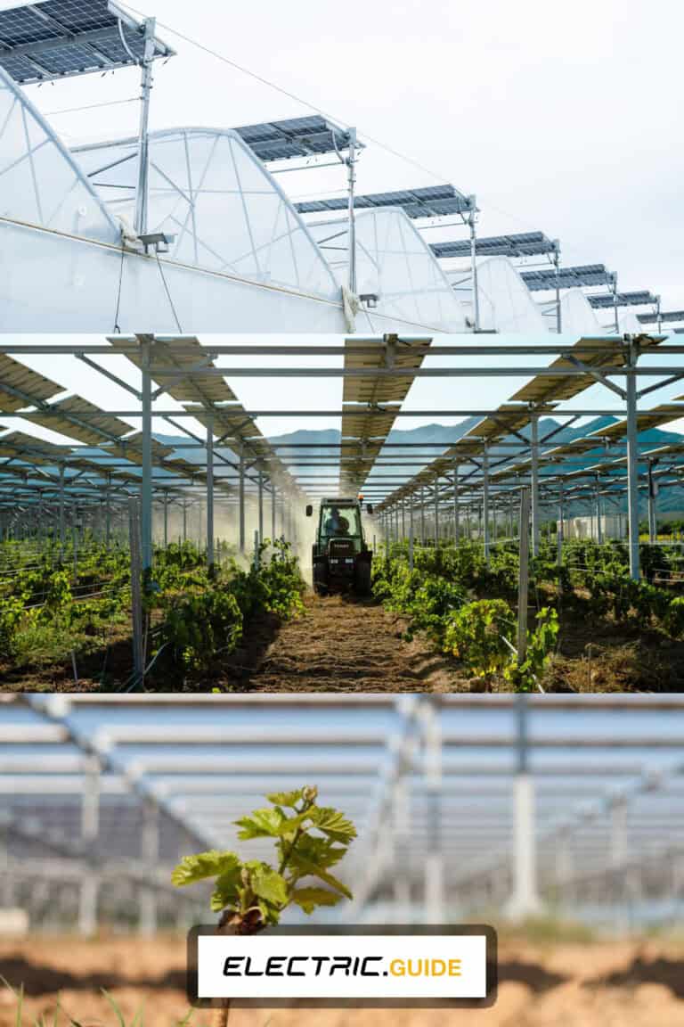 Agrivoltaics Revolution: Sun'Agri Boosting Grape Yields Up to 60% While ...