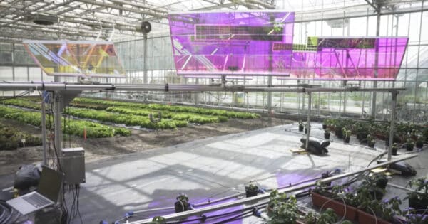 Revolutionizing Agriculture: Voltiris Wavelength-Selective Solar Panels ...