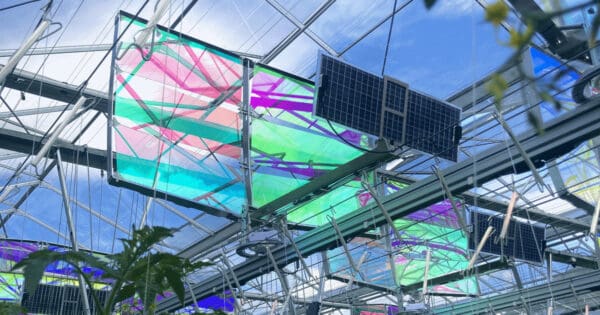 Revolutionizing Agriculture: Voltiris Wavelength-Selective Solar Panels ...