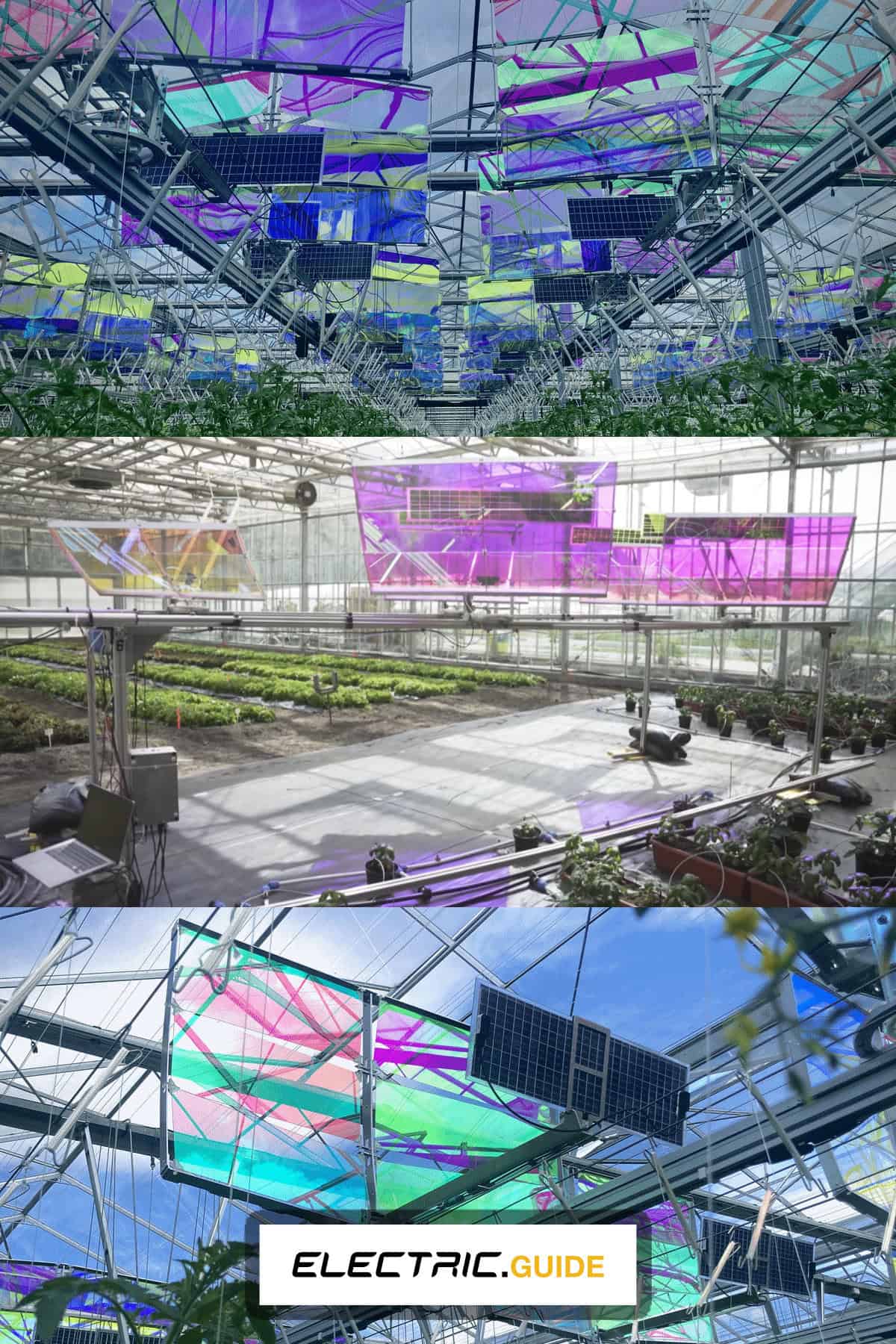 Revolutionizing Agriculture: Voltiris Wavelength-Selective Solar Panels ...